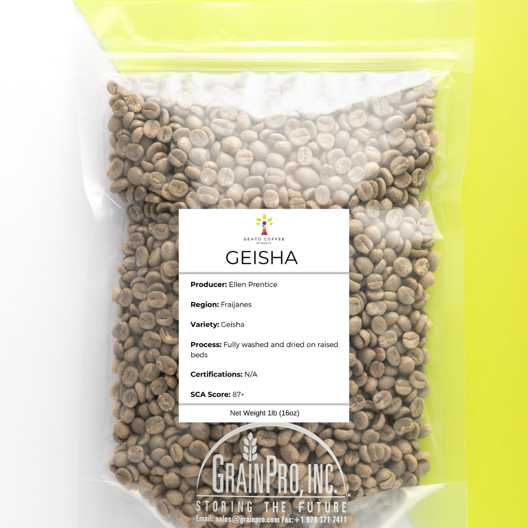 Green Beans Washed Process Geisha – Gento Coffee Roasters
